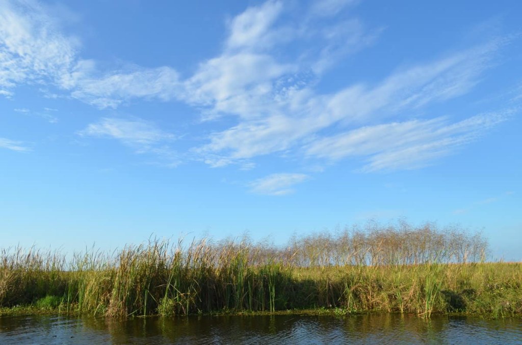 Wetland Photography Tour – The Landscape – BAYOU WOMAN